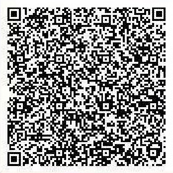 Blissey Bases - Pokémon ORAS Wiki