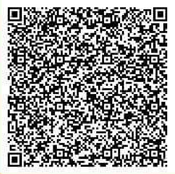 Secret Base QR Codes Gallery - Pokémon ORAS Wiki