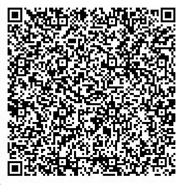 Secret Base QR Codes Gallery - Pokémon ORAS Wiki