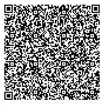 Secret Base QR Codes Gallery - Pokémon ORAS Wiki