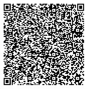Secret Base QR Codes Gallery - Pokémon ORAS Wiki