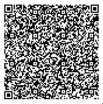 Secret Base QR Codes Gallery - Pokémon ORAS Wiki
