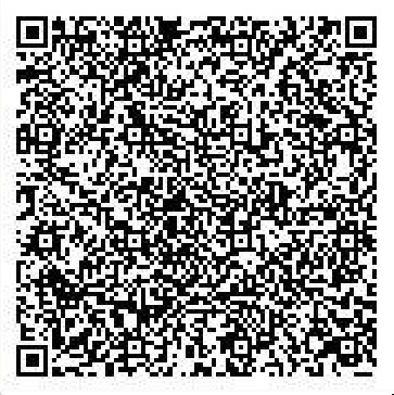 Secret Base QR Codes Gallery - Pokémon ORAS Wiki