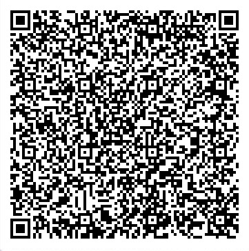 Secret Base QR Codes Gallery - Pokémon ORAS Wiki