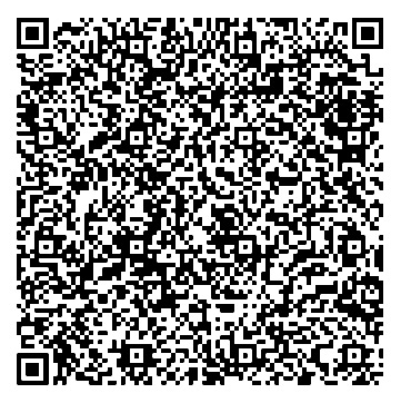 Secret Base QR Codes Gallery - Pokémon ORAS Wiki