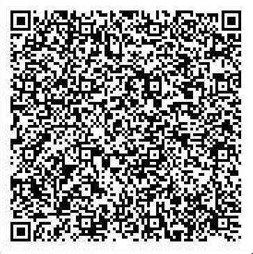 Secret Base QR Codes Gallery - Pokémon ORAS Wiki