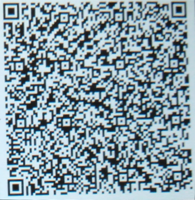 Secret Base QR Codes Gallery - Pokémon ORAS Wiki