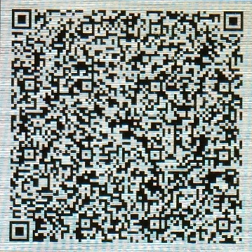 Secret Base QR Codes Gallery - Pokémon ORAS Wiki
