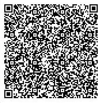 Secret Base QR Codes Gallery - Pokémon ORAS Wiki
