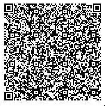 Secret Base QR Codes Gallery - Pokémon ORAS Wiki