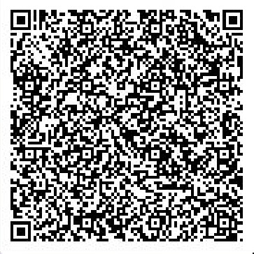 Secret Base QR Codes Gallery - Pokémon ORAS Wiki