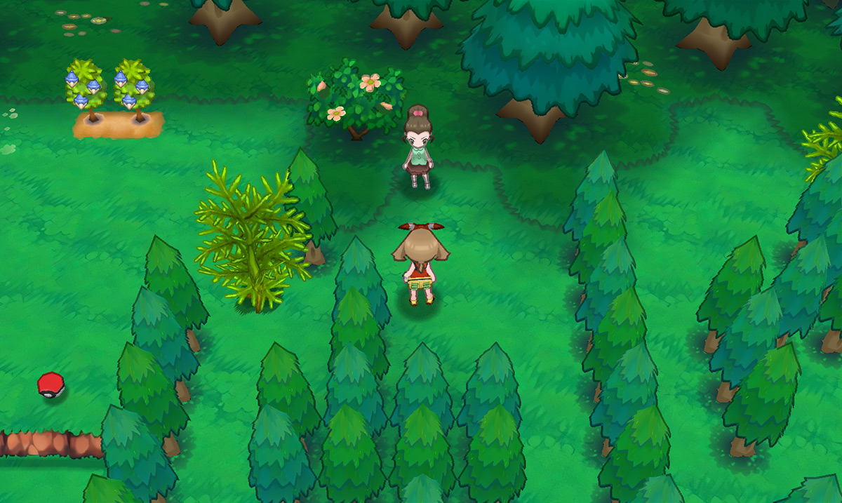 Route 116 (Location) - Pokémon ORAS Wiki