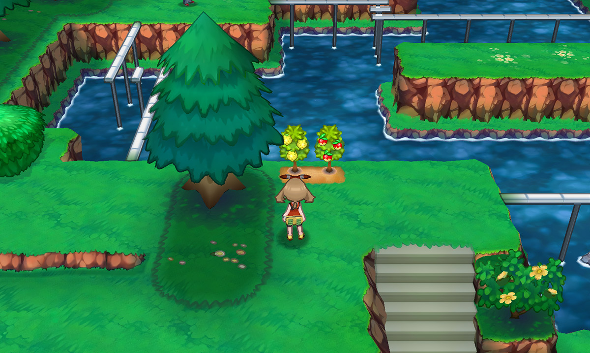 Route 119 (Location) - Pokémon ORAS Wiki