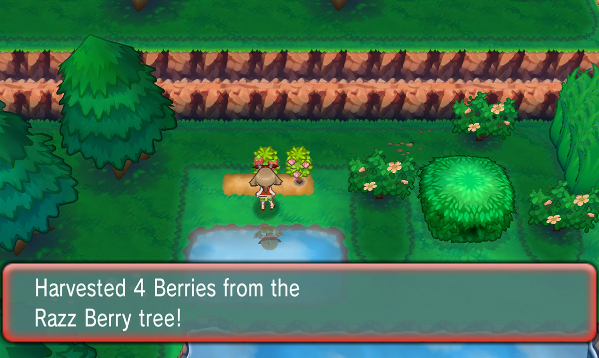 Route 120 (Location) - Pokémon ORAS Wiki