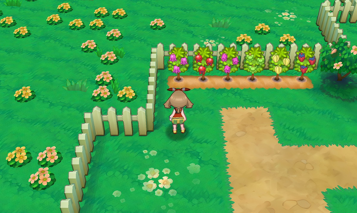 The Berry Master's House - Pokémon ORAS Wiki