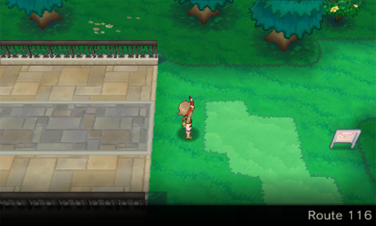 Timer Balls - Pokémon ORAS Wiki