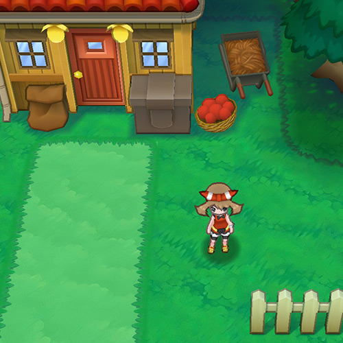 The Berry Master's House - Pokémon ORAS Wiki