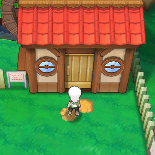 Game Mechanics - Pokémon ORAS Wiki